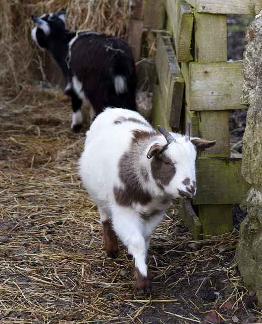 Muiravonside Country Park | Falkirk Council