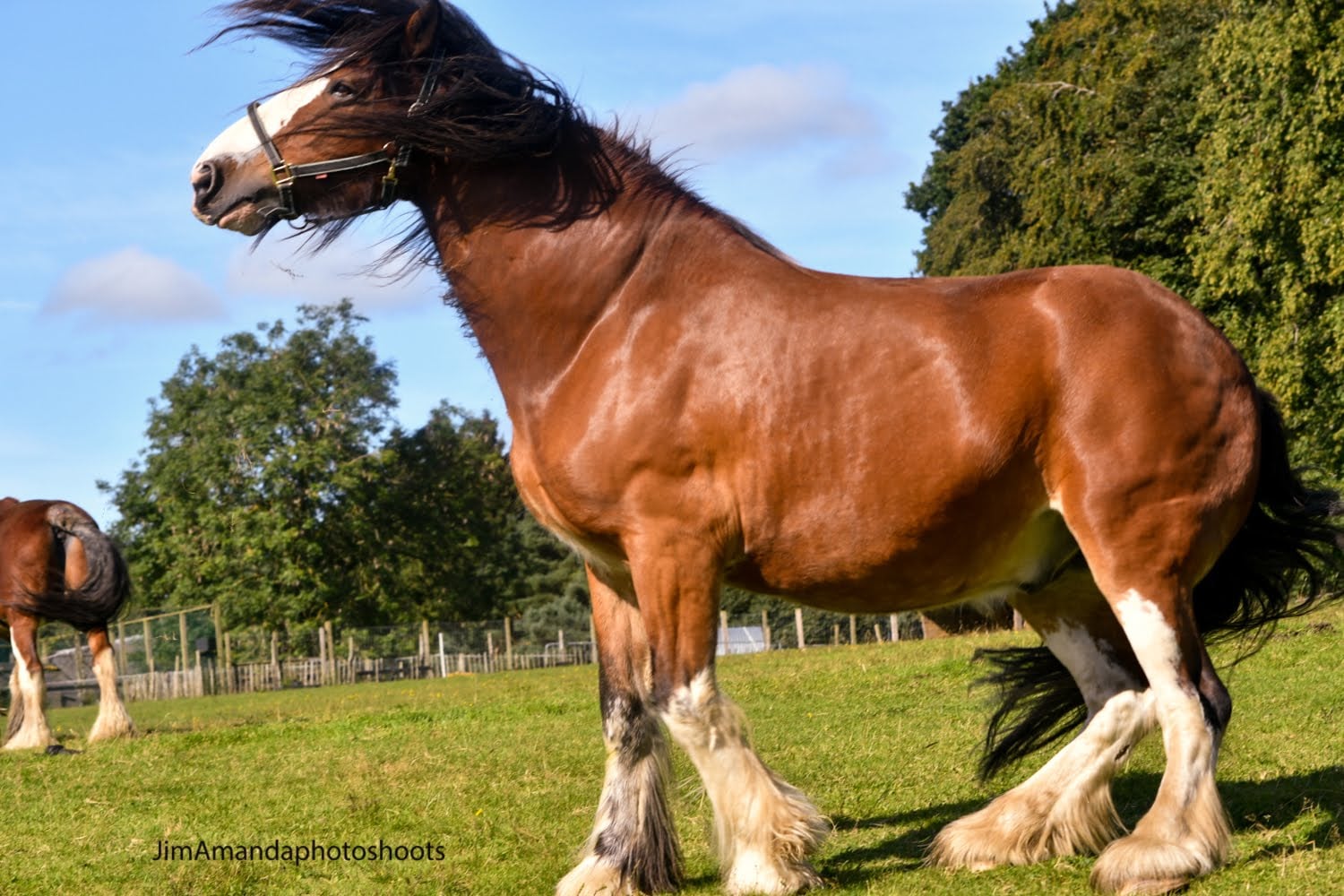 Muiravonside Country Park | Falkirk Council