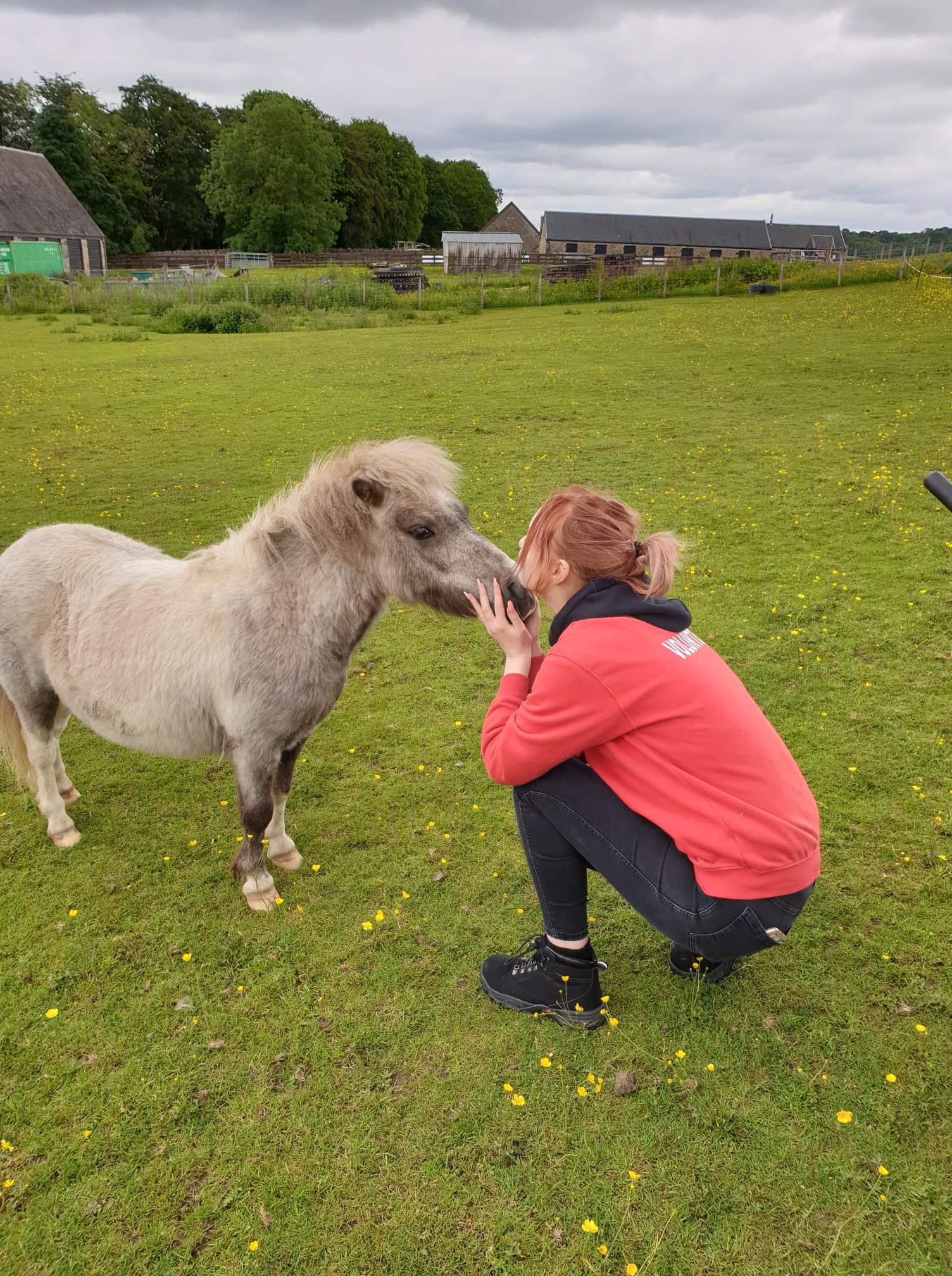 Falkirk Community Trust says Thank you to over 1000 Local Volunteers ...