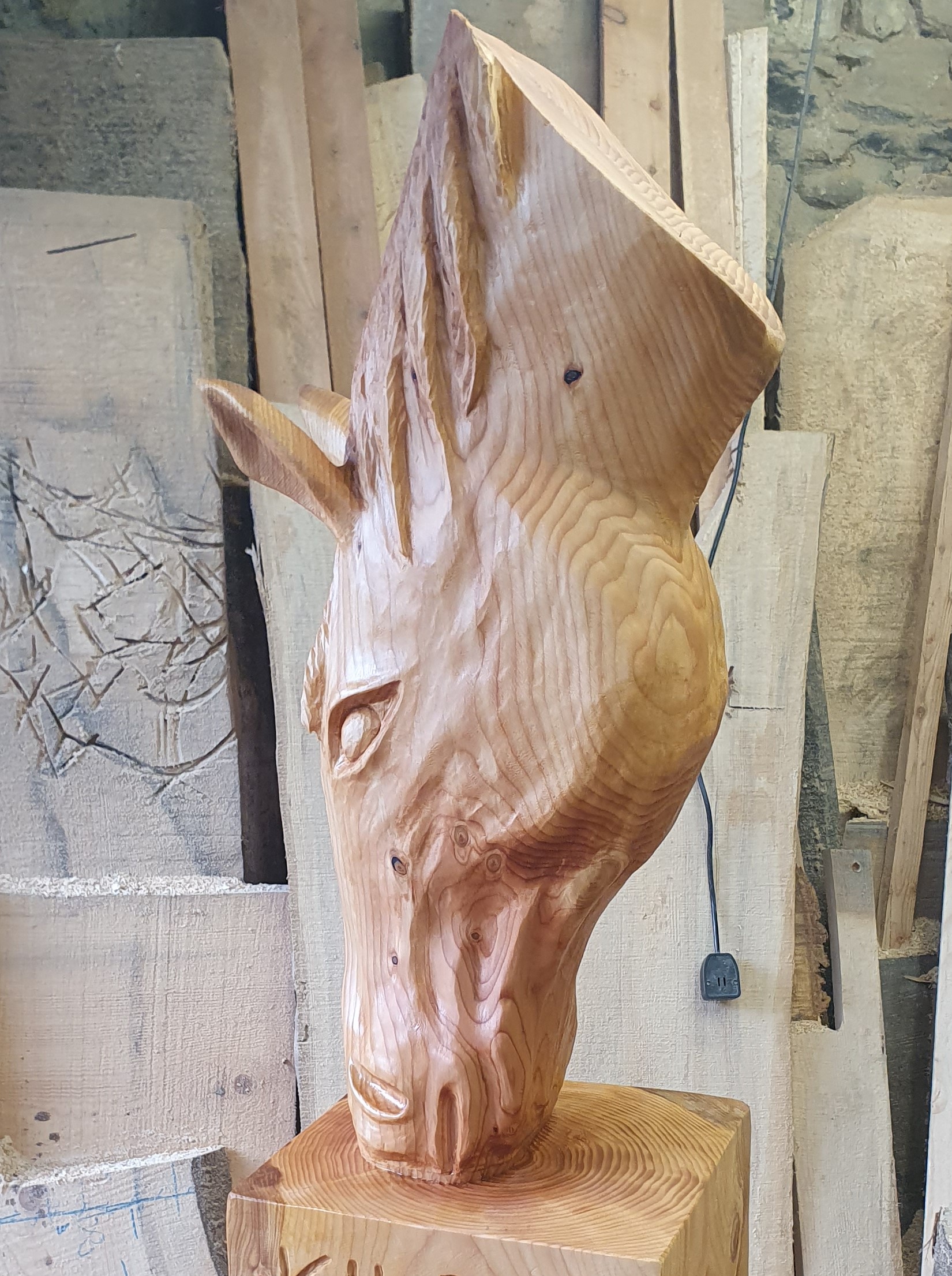 Muiravonside Farm to commemorate Hamish and they need your help ...