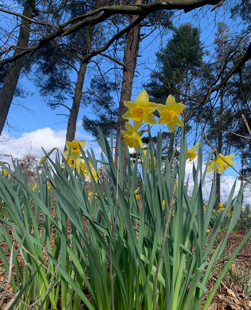 Muiravonside Country Park | Falkirk Council