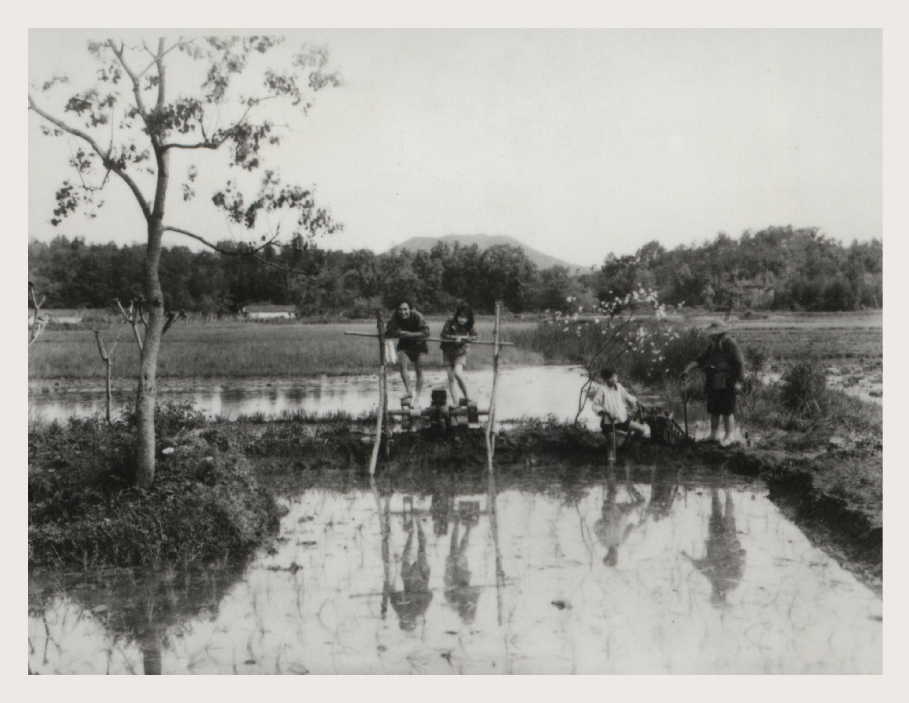 SFF23 - Volcanic Passions (aka Loving Blood of the Volcano) | Falkirk ...