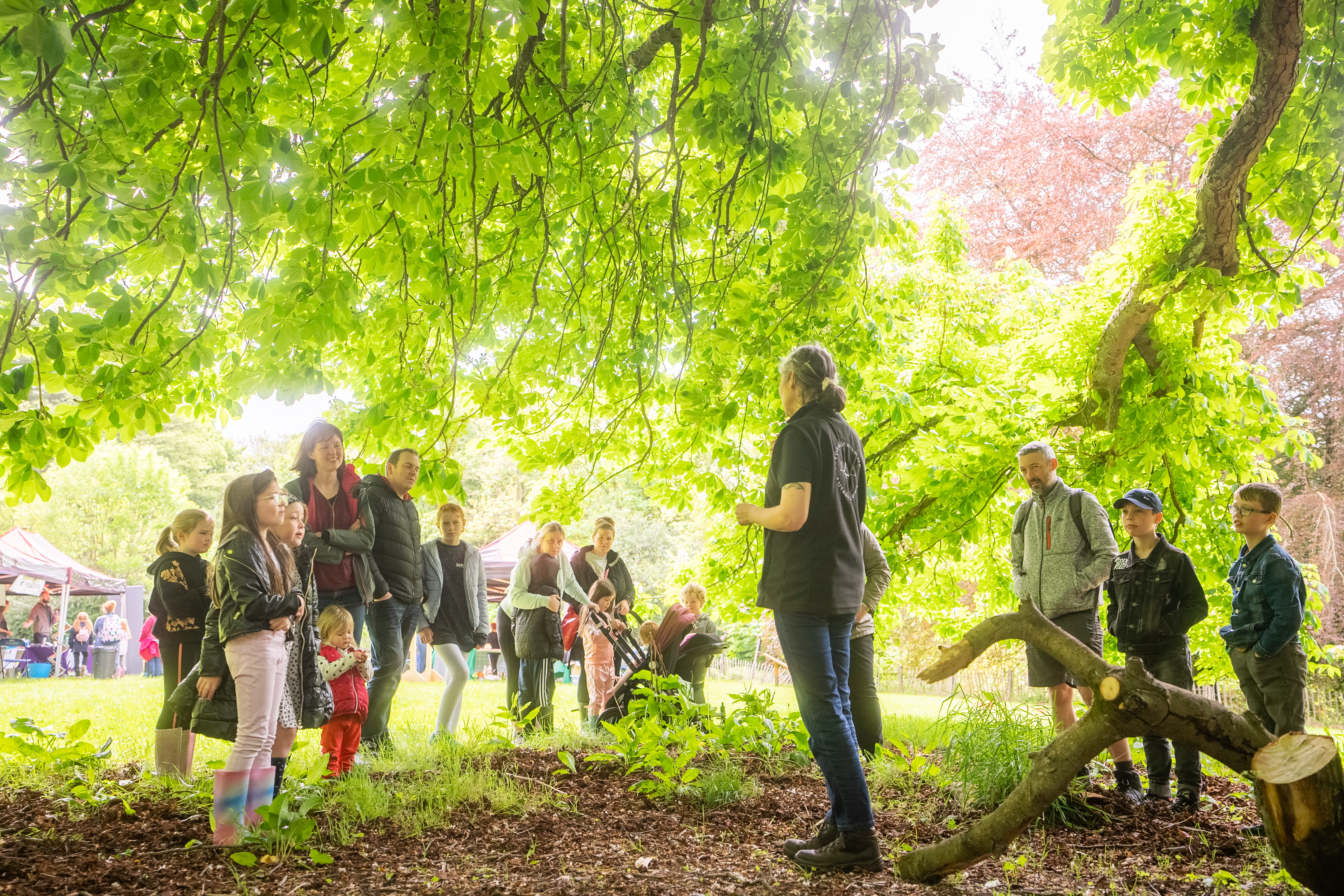 Wild Science: Family Foraging with The Little Foragers Kitchen ...