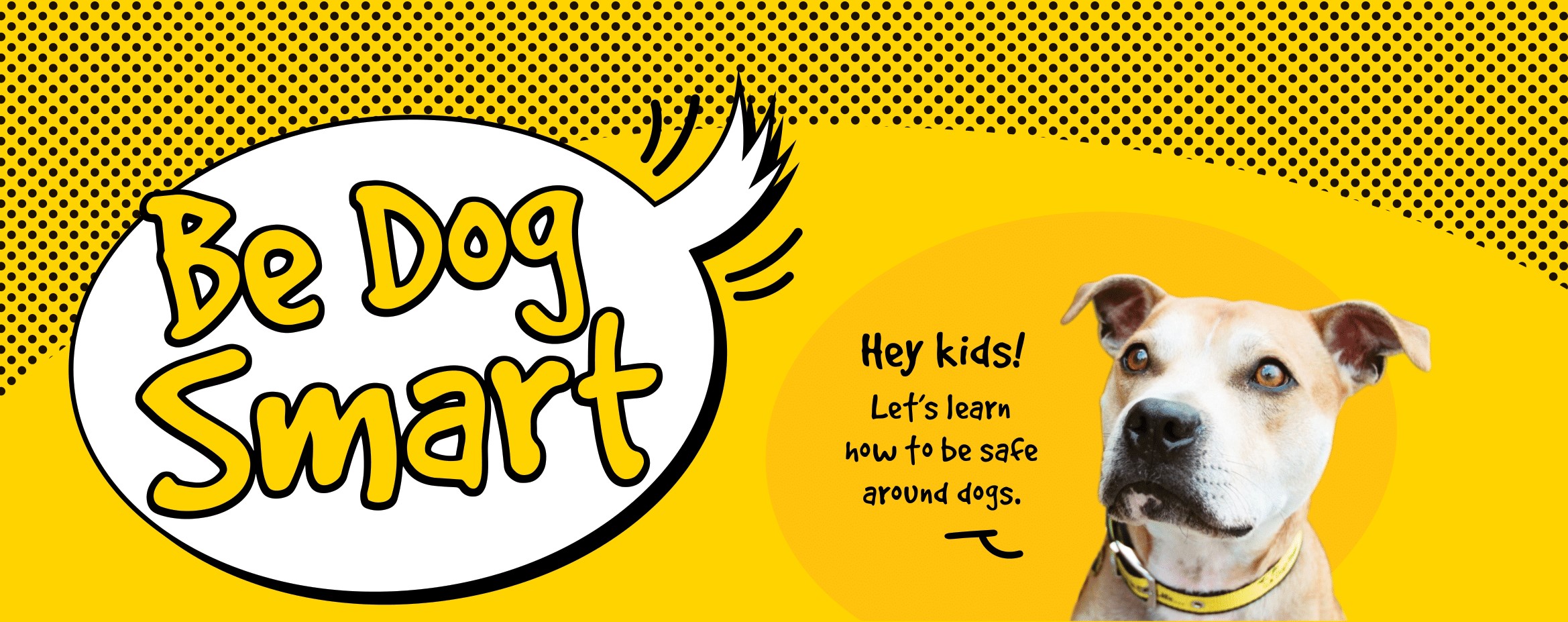 Be Dog Smart with Dogs Trust | Falkirk Council