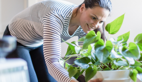 Falkirk Library | Falkirk Council