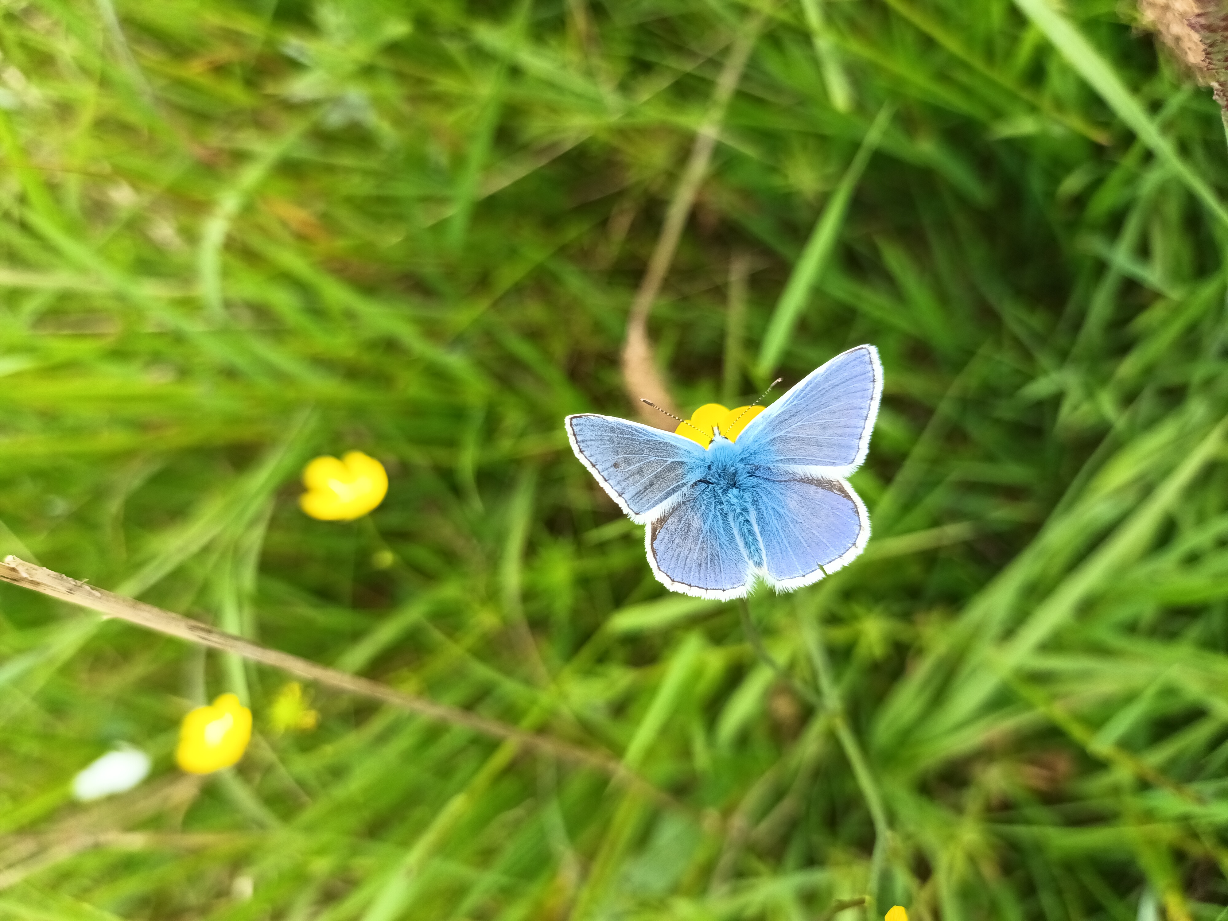 Muiravonside Country Park | Falkirk Council