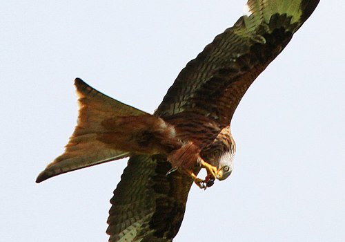 Grangemouth Library | Falkirk Council